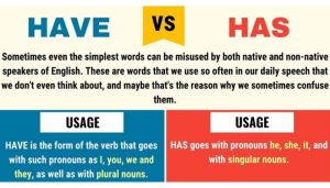 Khi nào dùng have/has? Cách dùng have has chính xác nhất